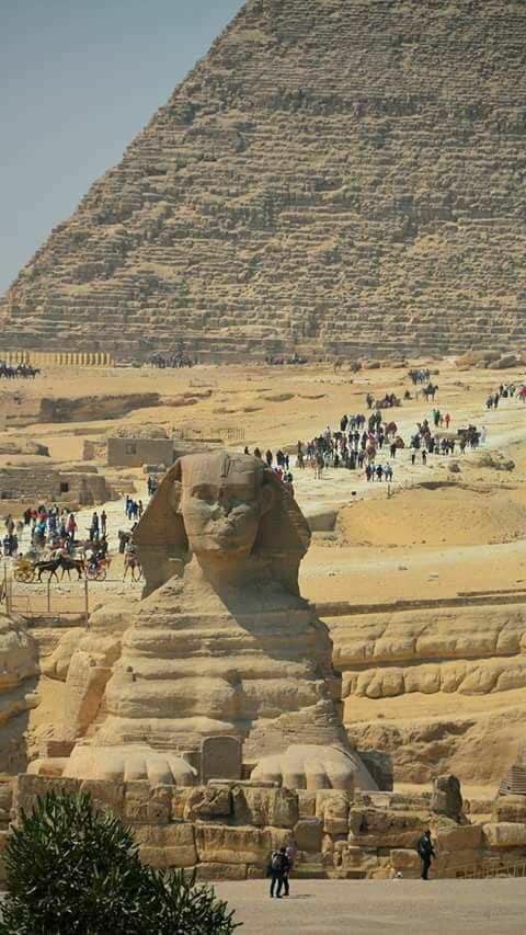 Ką pamatyti Kaire. Gizos ir Cheopso piramidžių aprašymas | Kelionių ...